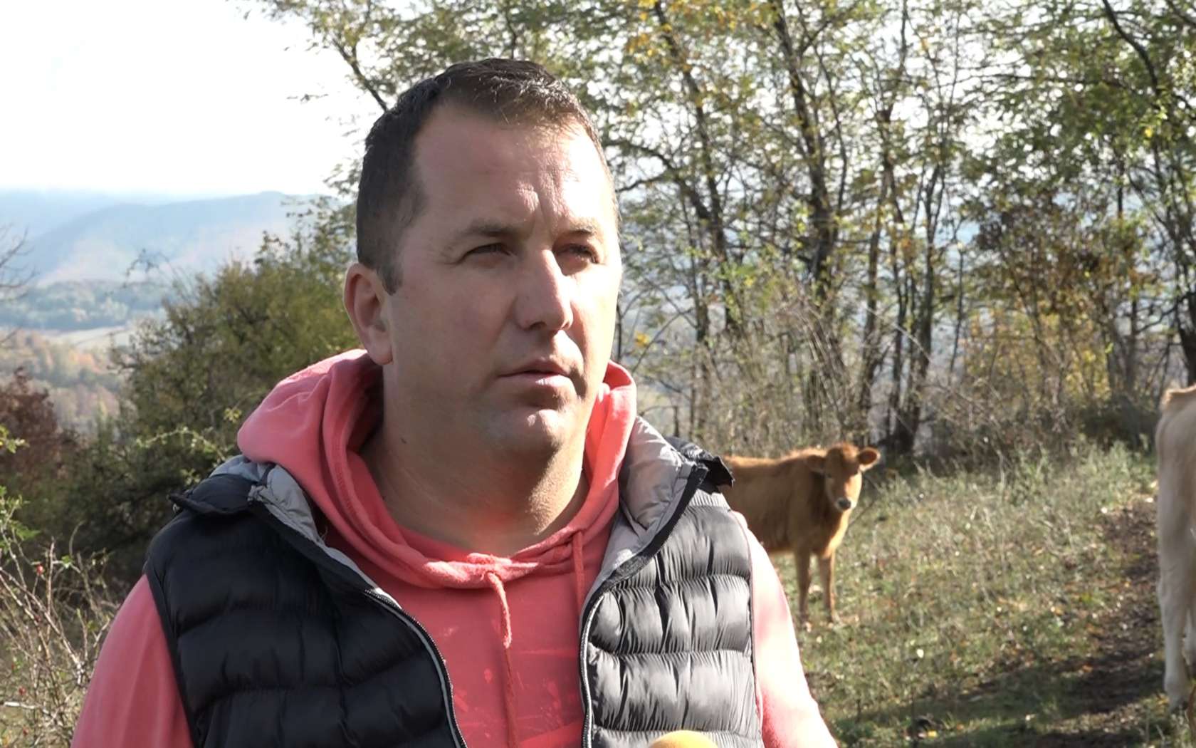 Perspektiva Gornjeg Milanovca u organskoj proizvodnji – Info Press